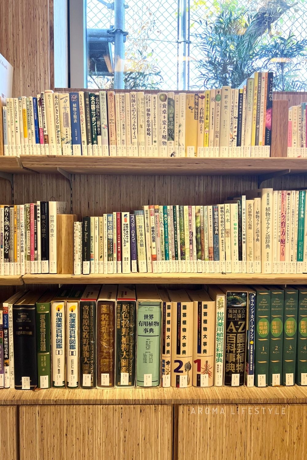 注目の新スポット『AEAJグリーンテラス』に行ってきました！ | アロマライフスタイル